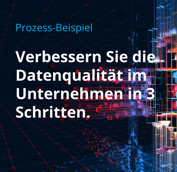 blog_Img_Prozess_DataQuality.jpg
